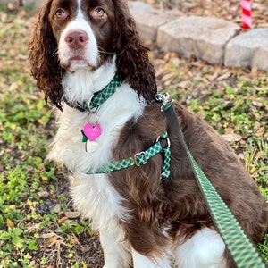 Seashell Dog Collar and optional Leash Set Girl Dog Collar | Etsy