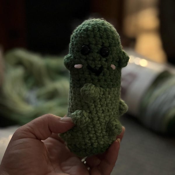 PATTERN ONLY, Easy Pickle Crochet Pattern, Instant DOWNLOAD - Etsy