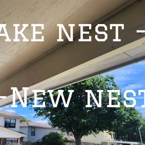 Decoy Wasp Nest - Stop Wasps From Building Nests Around Your House! - Etsy