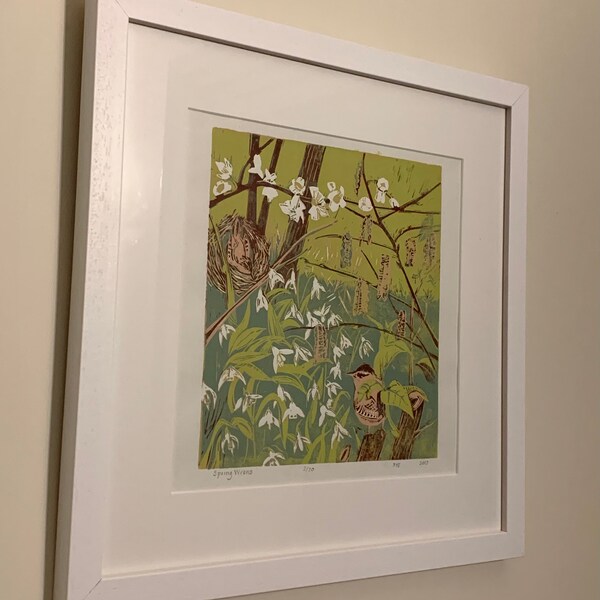 Wren Sitting in Cow Parsley. - Etsy