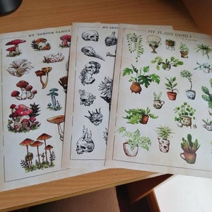 Sticker Collection Set of 3 Sticker Sheets 60 Individual Stickers - Etsy