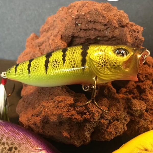 Fishing Lure-topwater Popmax Jr Popper-custom Painted Lure-popper - Etsy