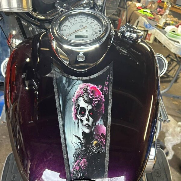 Old School H20 2pc Motorcycle Tank Side Decal Set for Harley Davidson ...