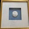 Coastal Intaglio Art on 6X6 or 5X7 Canvas, Coral, Shells or Sand Dollar ...