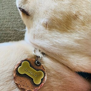 Large Dog Tag With Bone Dog Collar Tag Personalized Pet ID Tag Pet Tag ...