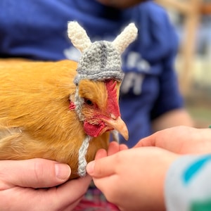 Crochet Pattern Bonnet for Chickens Sunday Bonnet Little - Etsy