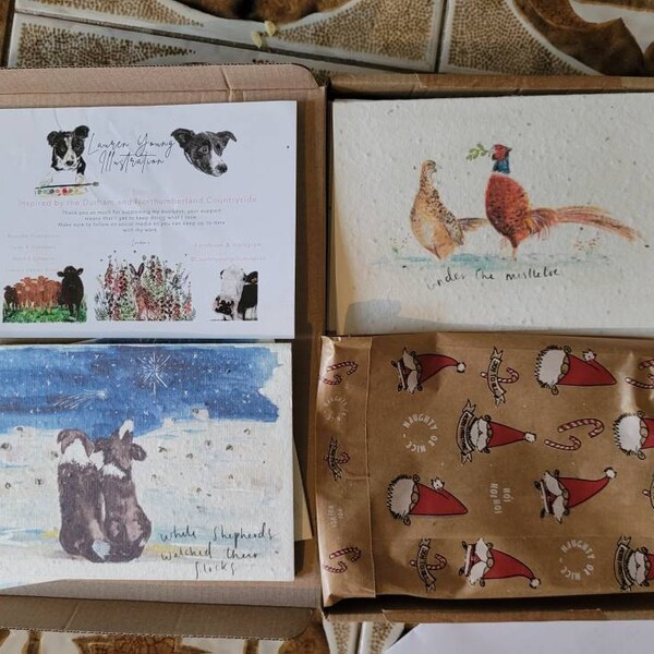 Poppys, Bees & Wildflowers Plantable Seed Card/ Seed Card Birthday Card ...