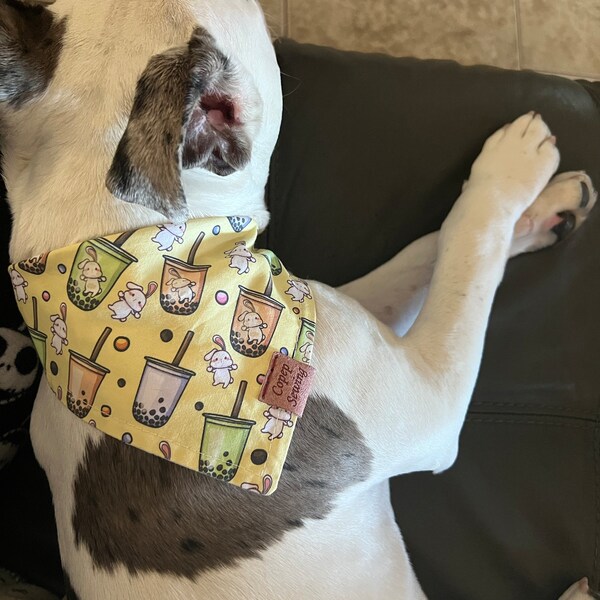 Concha Dog Squeaky Toy, Concha Toy, Mexican Sweet Bread Toy ...