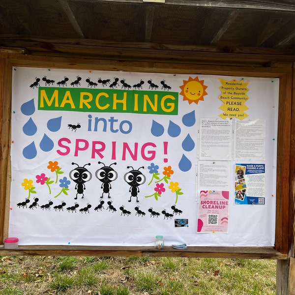 Spring Bulletin Board Set | Teachers School Bulletin Board for Spring ...