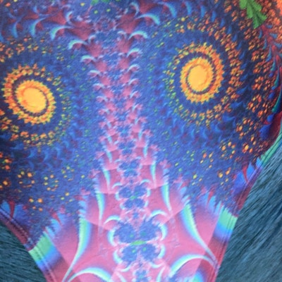 Purple Rave Costume Purple Rave Outfit Aerial Costume for - Etsy