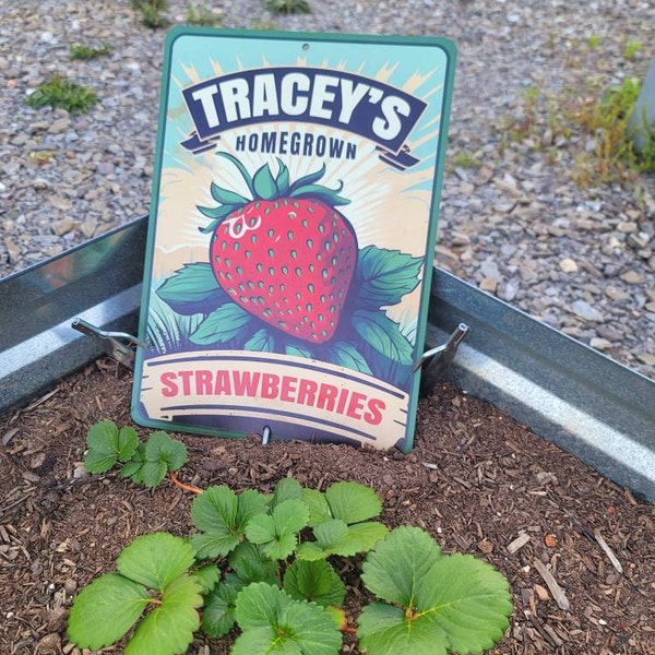 Homegrown Strawberry Sign, Strawberry Garden, Custom Garden Sign ...