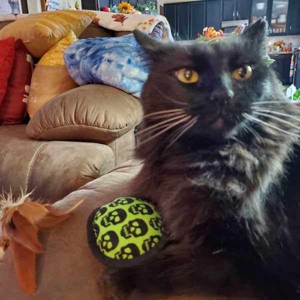 Catnip Toys, Year of the Pig Cat Toy, Pig Pillows, No Fur Cat Toys ...