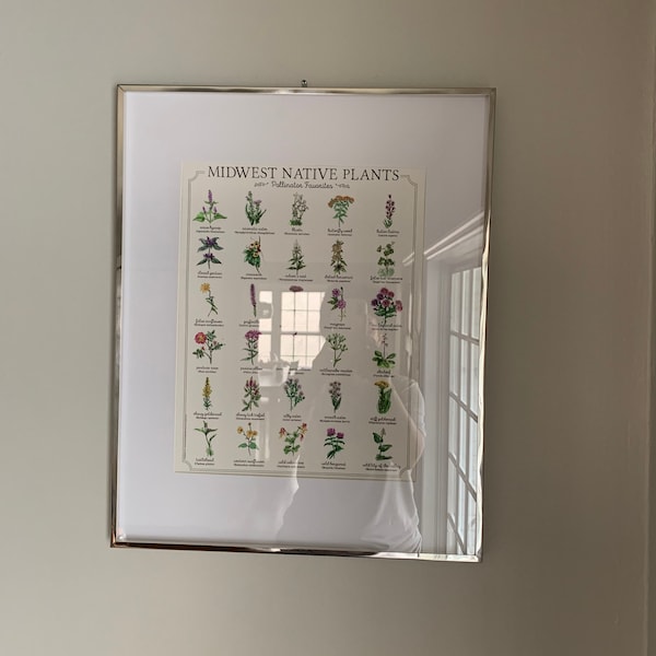 Wildflower Poster, Pollinator Plants Poster, Vintage Wildflower Print ...