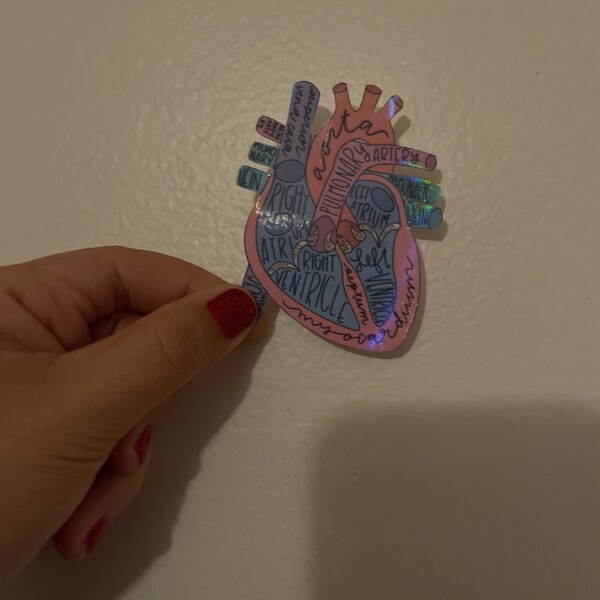 EKG Sticker Bundle: Medical Cheat Sheet, QRS Complex - Set of 3 - Etsy