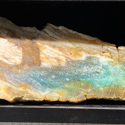 Turritella Agate Slab, Rough Slice for Lapidary, Stone Specimen, Fossil ...