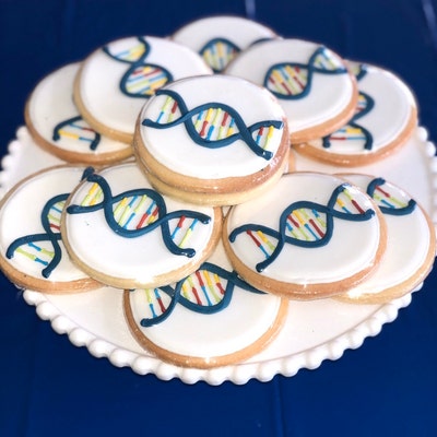 DNA Double Helix Science Cookies 1 Dozen - Etsy