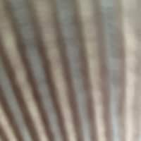 Hot Rod Fire Pit, Collapsible Fire Pit, Portable Campfire, Patio Fire ...