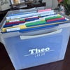 School Years File Box for Keepsake and School Memories Storage File Box ...