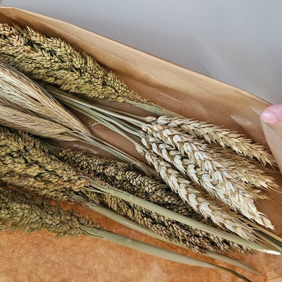 Organic Dried Floral Craft Pack, Dried Plants, Grass, Flower Stems, DIY ...