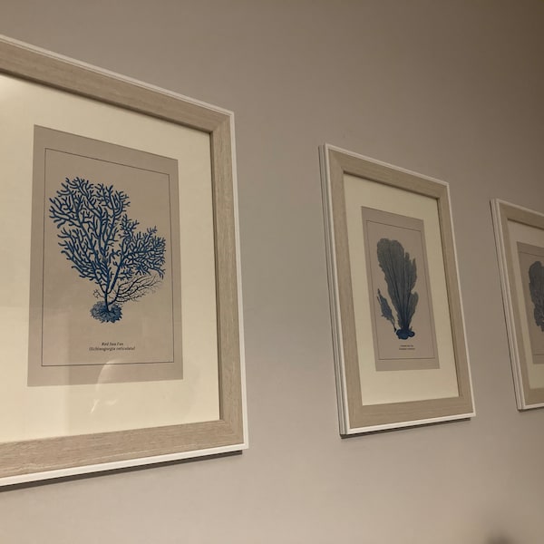 Blue Coral Prints Sea Fan Prints Set of 3 Blue Prints Bathroom Decor ...