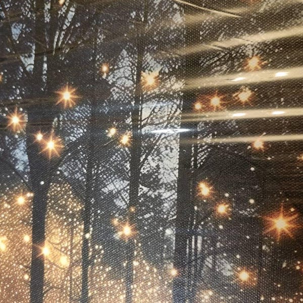 Enchanted Forest Firefly Art Print - Botanical Wall Art, Landscape ...