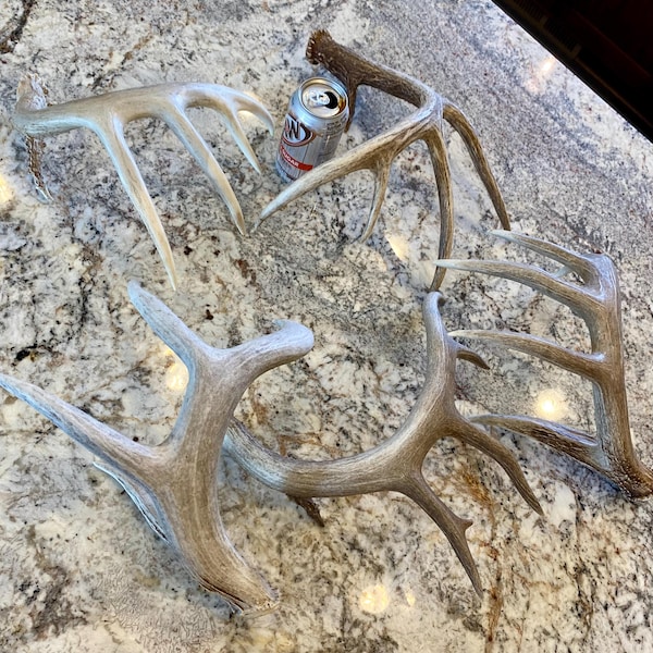 2 Pack Deer Antler. Whole Deer Antler. Craft Grade. Grade A Antlers ...