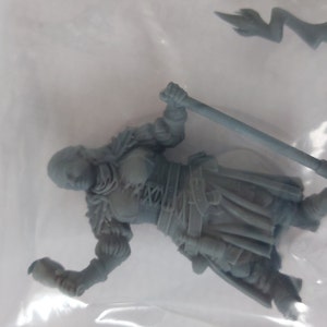 22mm Capybara Mount for Dungeons and Dragons D&D Pathfinder Dnd ...