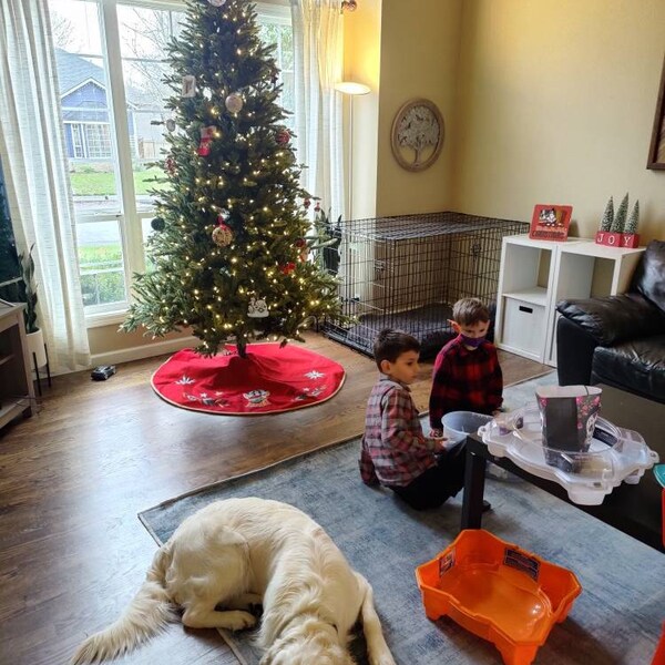 Yemeni Snake Armlet or Anklet, Vintage Bedouin Silver, Antique 1900s ...