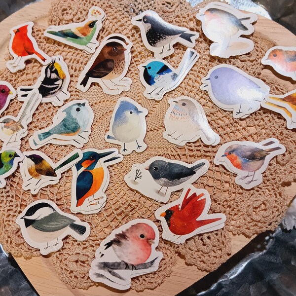 Kamio ADULT VISUAL DICTIONARY Stickers, Otter Seal Sea Lion Stickers ...