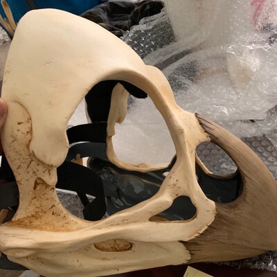 Bird Skull Mask Full Bone Painted - Etsy Australia