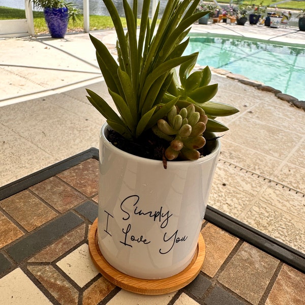 Happy Retirement Gifts for Women Coworker, Succulent Plant Pot ...