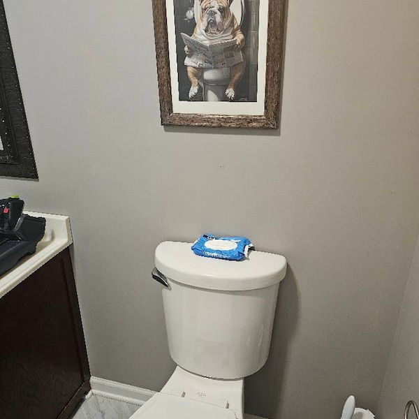 English Bulldog, Texting on Toilet, Funny, Cute, Wall Poster, Wall ...