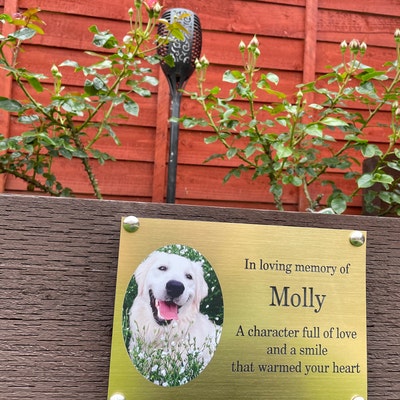 Memorial Plaque, Bench Sign, Personalised, Engraved Plaque, Bench ...