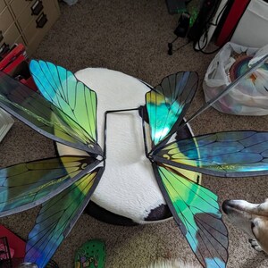 Iridescent Dragonfly Wings, Wings Photo Prop, Fairy Dragonfly Wings - Etsy