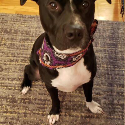 Skull Candle Occult Toad Raven Skull Skeleton Key Print Incense Bag ...