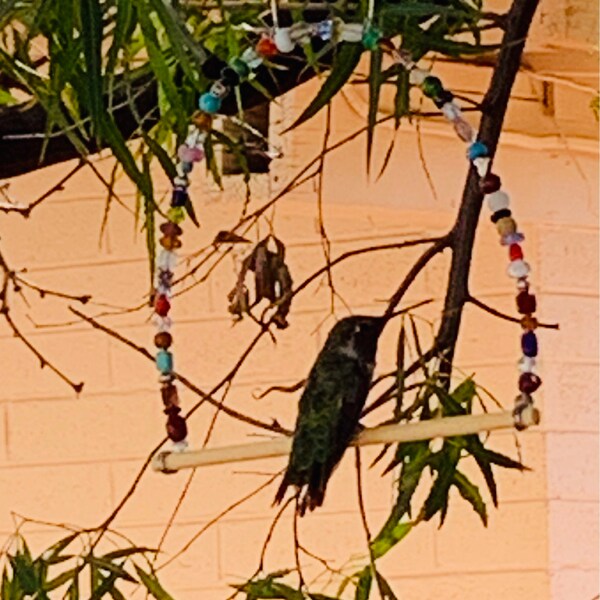 Set of 2 Hummingbird Swings Perches GREAT GIFT See Video - Etsy