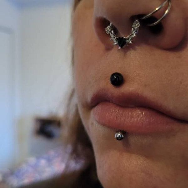 16G Butterfly Eyebrow Ring/rook Barbell/curved Barbell/rook Earring ...