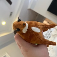Elephant Shrew Stuffed Toy - Native African Animal Shrew Plush - Sengi ...