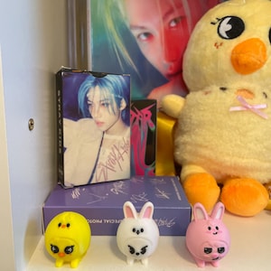 Stray Kids Skzoo Mini 3D Print Figures - Etsy