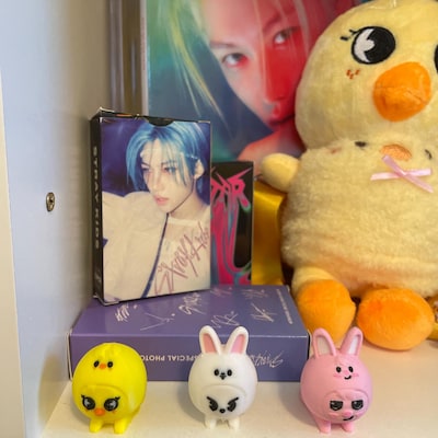 Stray Kids Skzoo Mini 3D Print Figures - Etsy