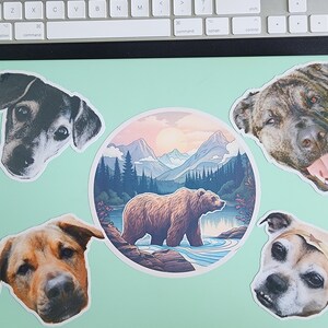 Garba Sticker Pack Navratri Stickers Waterproof Water Bottle Sticker ...