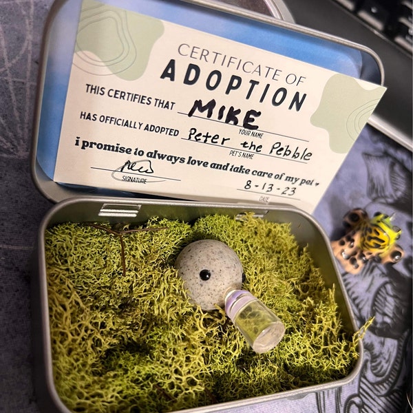 BABY ROCK! Magnetic W/ Adoption Certificate! Adopt an Adorable Desk Pet ...