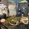 The Witches' Lair Apothecary Chest, Halloween Home Decor, Halloween ...