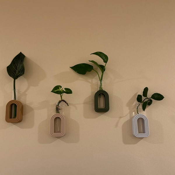 Arched Propagation Vases, Plant and Flower Vases, Wall Planter ...