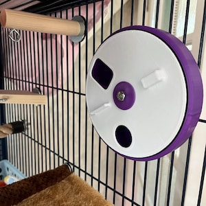 2 in 1 Perch Natural Wood Perch and Swinging Pine Dowel Perch With ...