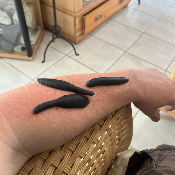 Larp Safe Rubber Leeches, Larp Medic, 5 Pack, Leach Healer, Plague ...