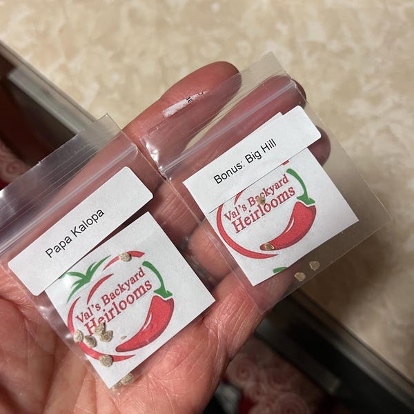 Papa Kalopa Tomato Seeds - Etsy