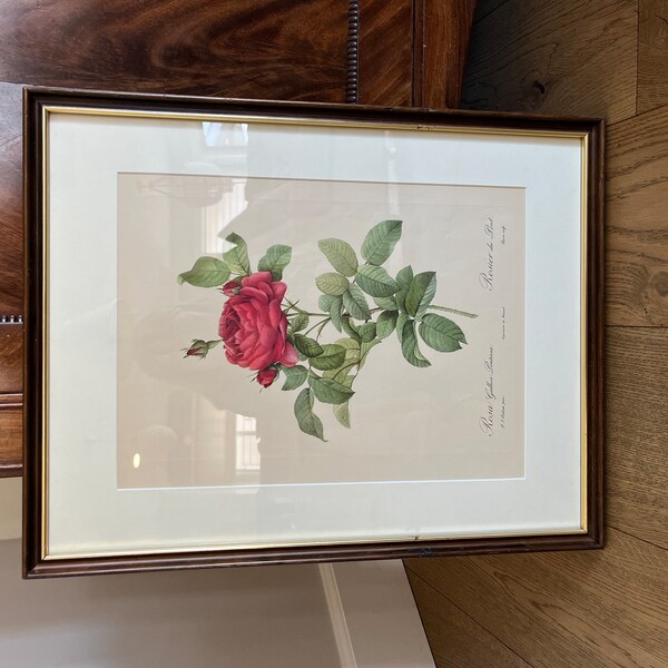 Antique French Print, Fourrures From 1922 ,french Vintage Animal Print ...