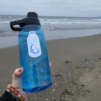 Cute Shark Blahaj Parody Famous Painting Art Prints | Postcard Print ...