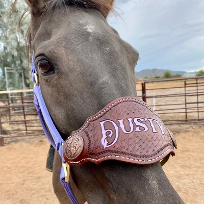 Custom Nylon Bronc Halter Stronger Design Than Tab Style - Etsy